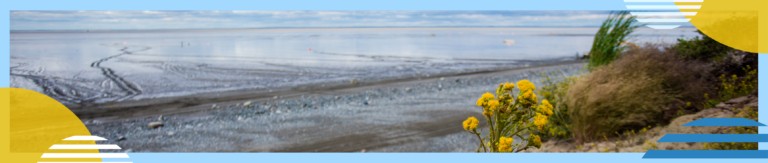 Backhaul Alaska Needs You! | Backhaul Alaska